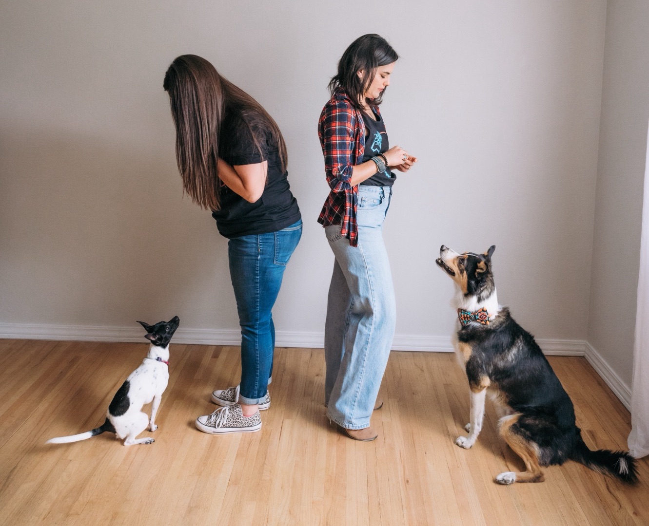 Group Classes – Heart Dog Behavior & Training
